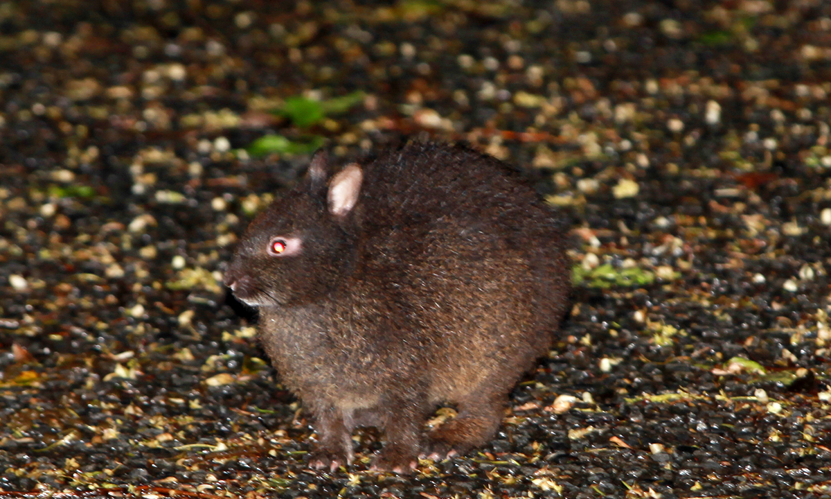 Dynamic Nature - explore.amami